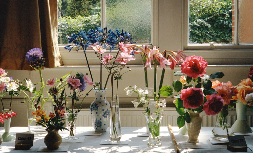 Mary McCartney – Mary McCartney's photography and motion work has ...